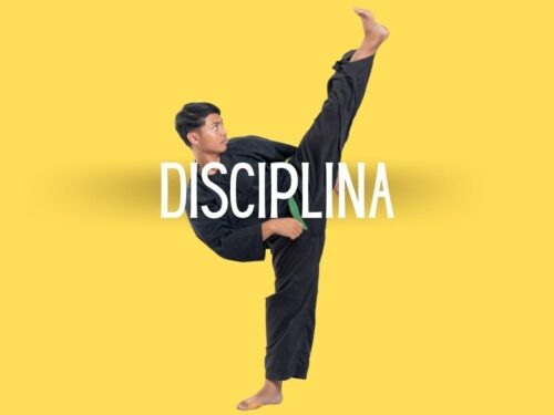 Disciplina » Concepto, Estrategias, Ejemplos, Cursos