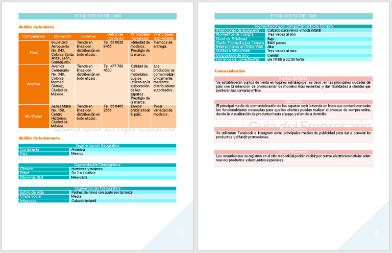 Viabilidad de un proyecto 【 Qué es, tipos, como hacerlo, formato gratis